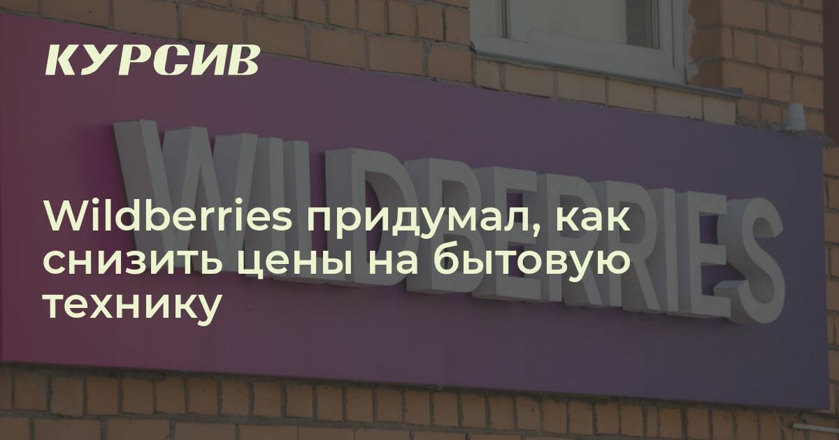 Wildberries придумал, как снизить цены на бытовую технику