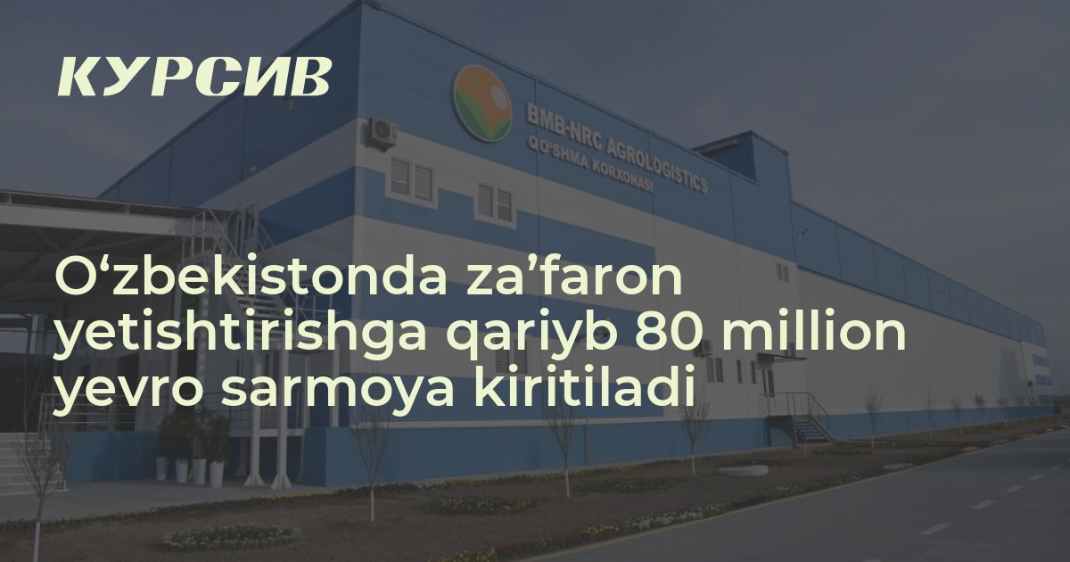 O‘zbekistonda za’faron yetishtirishga qancha sarmoya kiritiladi