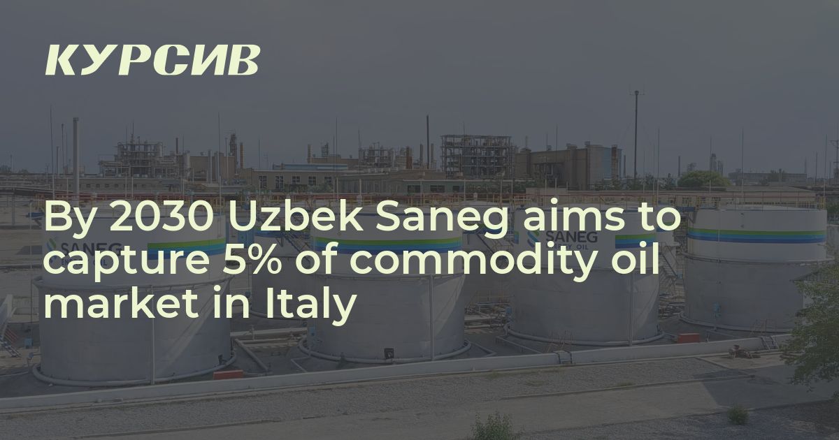 What are the plans of Saneg