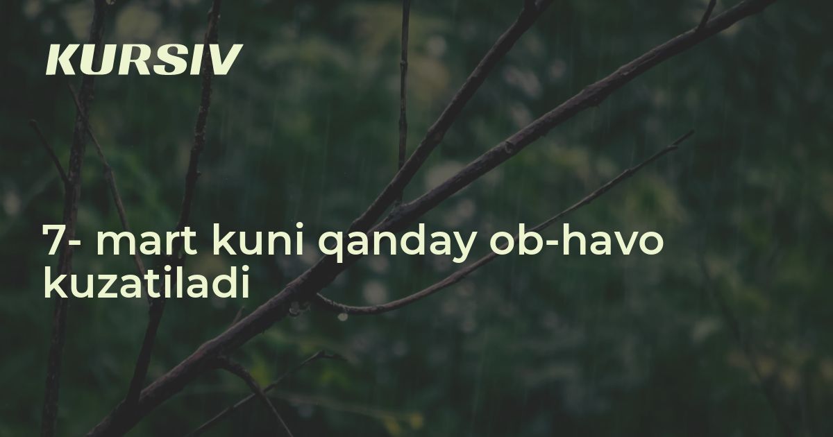 7- mart kuni qanday ob-havo kuzatiladi - 07.03.2025 - Kursiv Media Uzbekistan