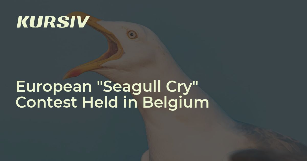 European “Seagull Cry” Contest Held in Belgium - Kursiv Media Uzbekistan