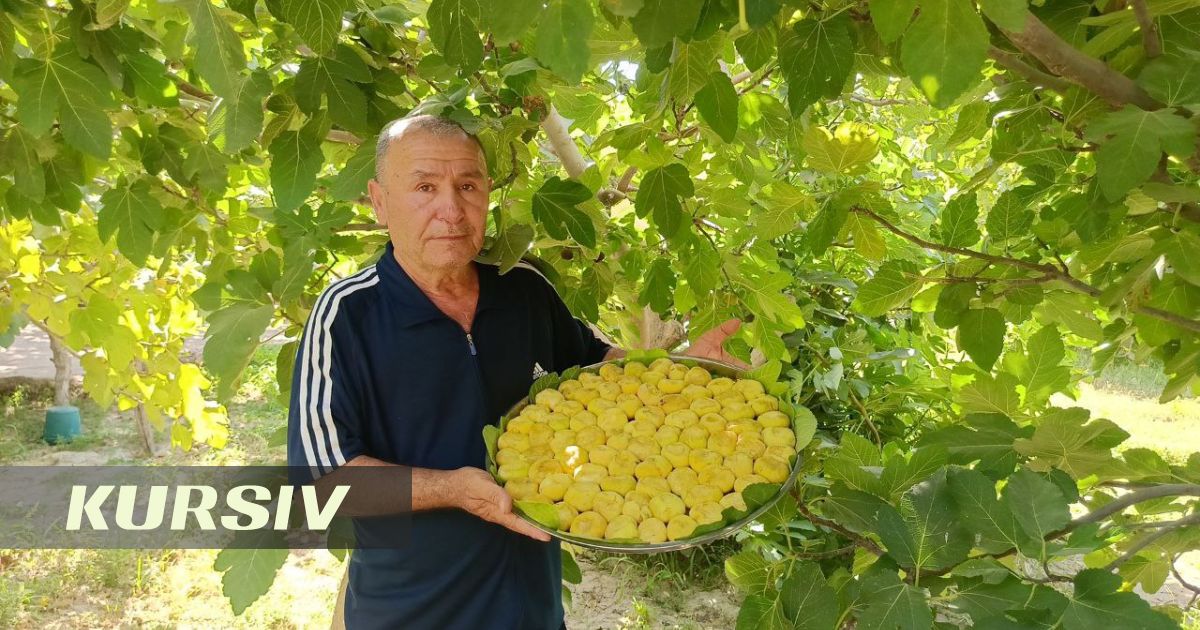 Rustam aka oilasi Amir Temur bog‘ida turizmini rivojlantirmoqda