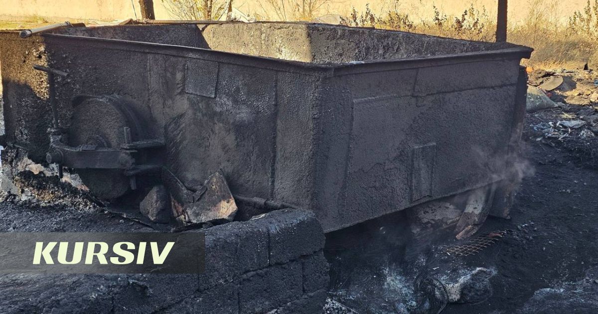 Samarqanddagi cho‘chqaxona egasiga qanday chora ko‘rildi